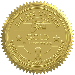 Competition | Studio Masters